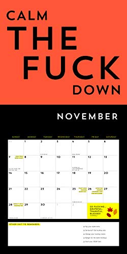 A F*cking 2021 Calendar: Get Your Sh*t Together This Year - Includes Stickers! (Funny Monthly Calendar, White Elephant Gag Gift for Adults)