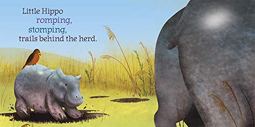Little Hippo (Little Animal Friends)