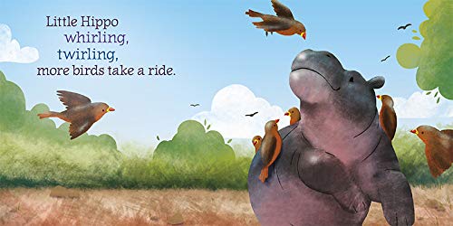 Little Hippo (Little Animal Friends)