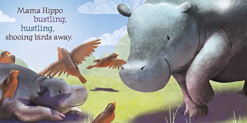 Little Hippo (Little Animal Friends)
