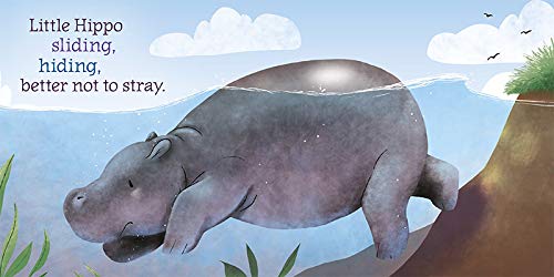Little Hippo (Little Animal Friends)