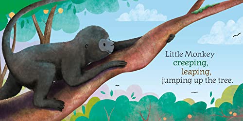 Little Monkey (Little Animal Friends)