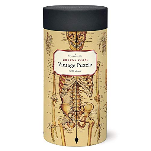 Cavallini Papers & Co. Skeletal System 1,000 Piece Puzzle, Multi