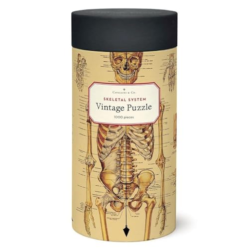 Cavallini Papers & Co. Skeletal System 1,000 Piece Puzzle, Multi