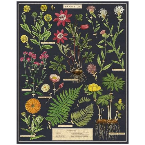 Cavallini Papers & Co. Herbarium 1,000 Piece Puzzle, Multi