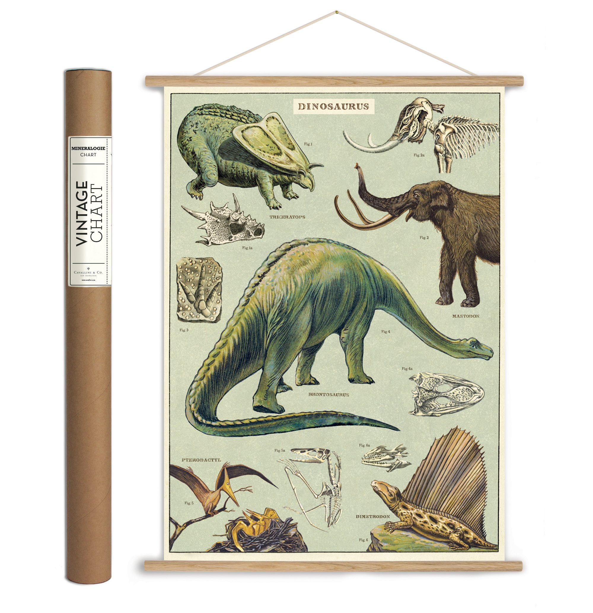 Cavallini Papers & Co VPK/Dino Cavallini Vintage Dinosaurs Hanging Poster Kit, Multicolor