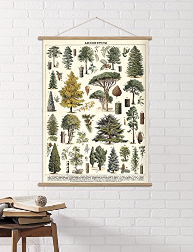 Cavallini Papers & Co. Cavallini Vintage Arboretum Hanging Poster Kit, Multi