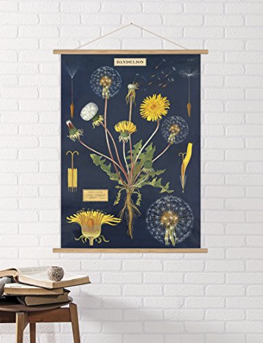 Cavallini Papers & Co. Cavallini Vintage Dandelion Hanging Poster Kit, Multi