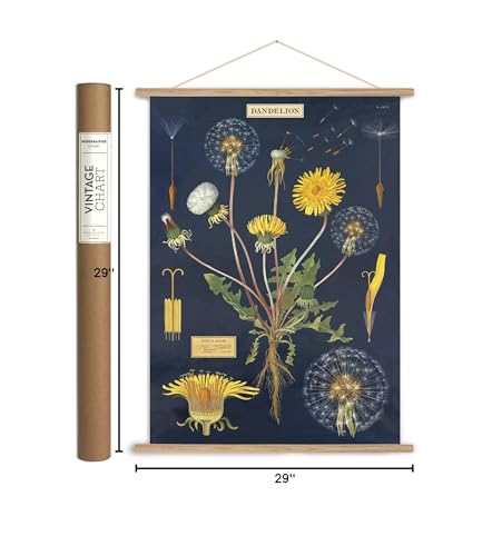 Cavallini Papers & Co. Cavallini Vintage Dandelion Hanging Poster Kit, Multi