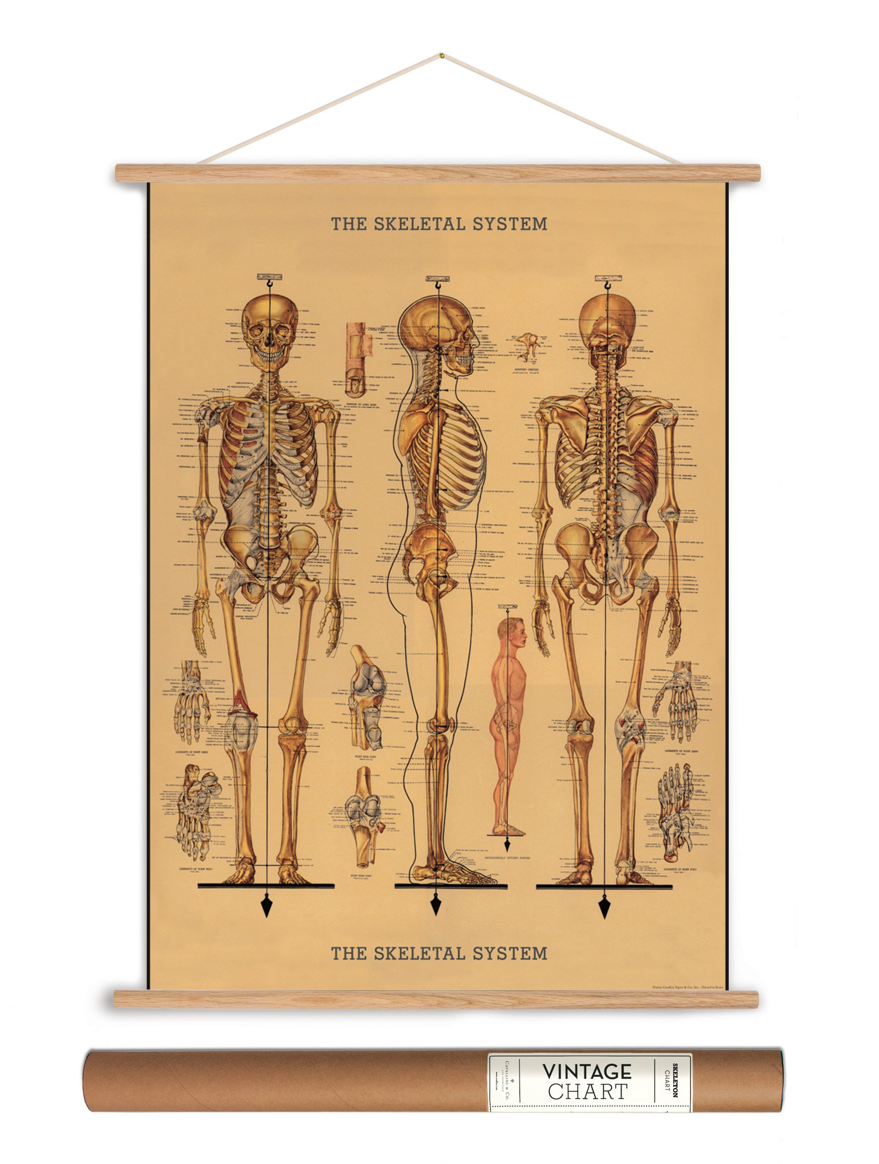 Cavallini Papers Vintage Style Decorative Poster & Hanger Kit 20 x 28, 20" x 28"