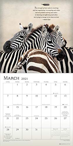 Mark Nepo 2021 Wall Calendar: A Year of Awakening