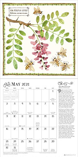Backyard Foraging 2021 Calendar: Discover Edible Plants and Kitchen Inspiration