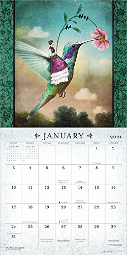 The Curious World of Catrin Welz-Stein 2021 Calendar