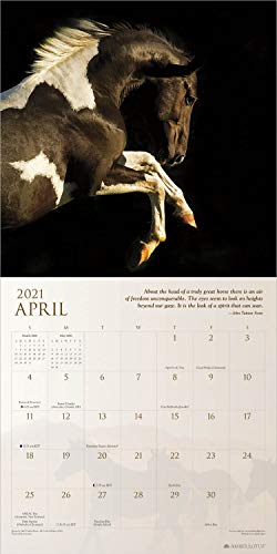 Spirit Horses 2021 Calendar
