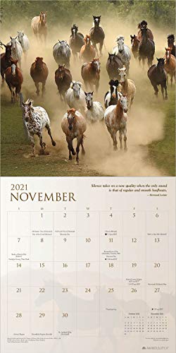 Spirit Horses 2021 Calendar