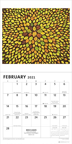 Land Art 2021 Wall Calendar: Contemporary Art in the Natural World