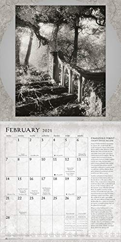The Haunted Realm 2021 Wall Calendar