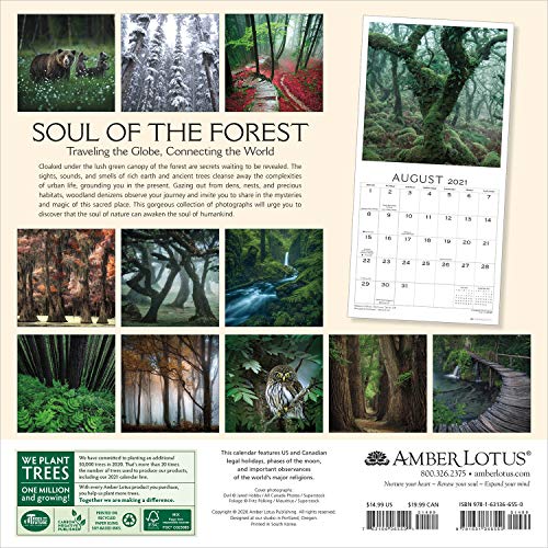 Soul of the Forest 2021 Calendar