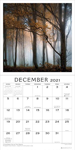 Soul of the Forest 2021 Calendar