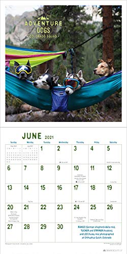Adventure Dogs 2021 Calendar