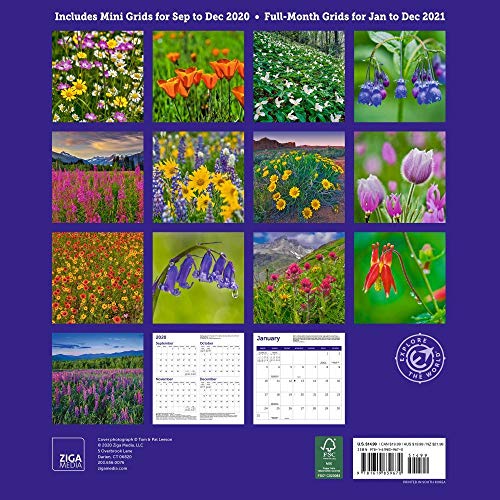Wildflowers Wall Calendar 2021, Monthly January-December 12'' x 12"