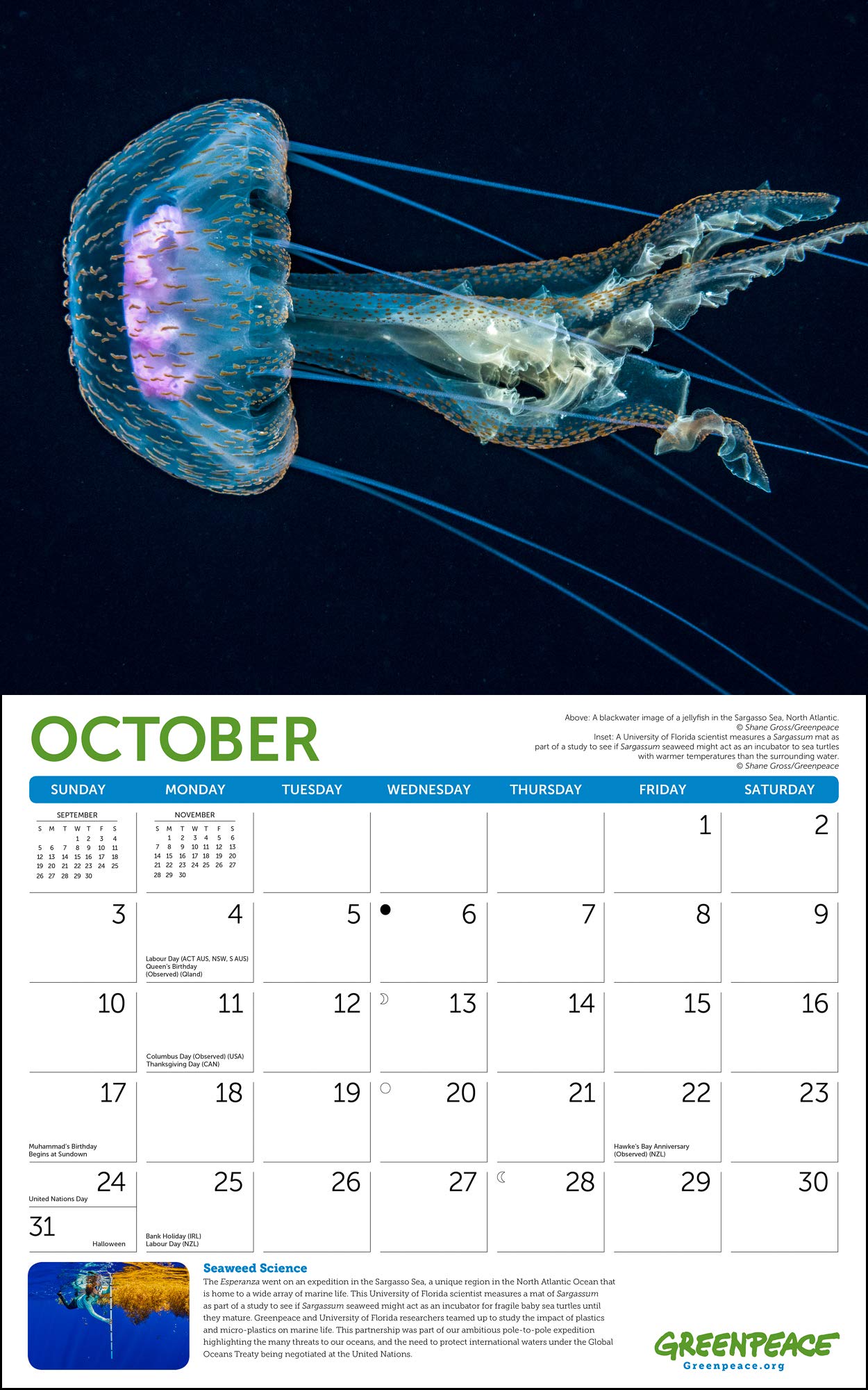 Greenpeace Wall Calendar 2021, Monthly January-December 15'' x 12"