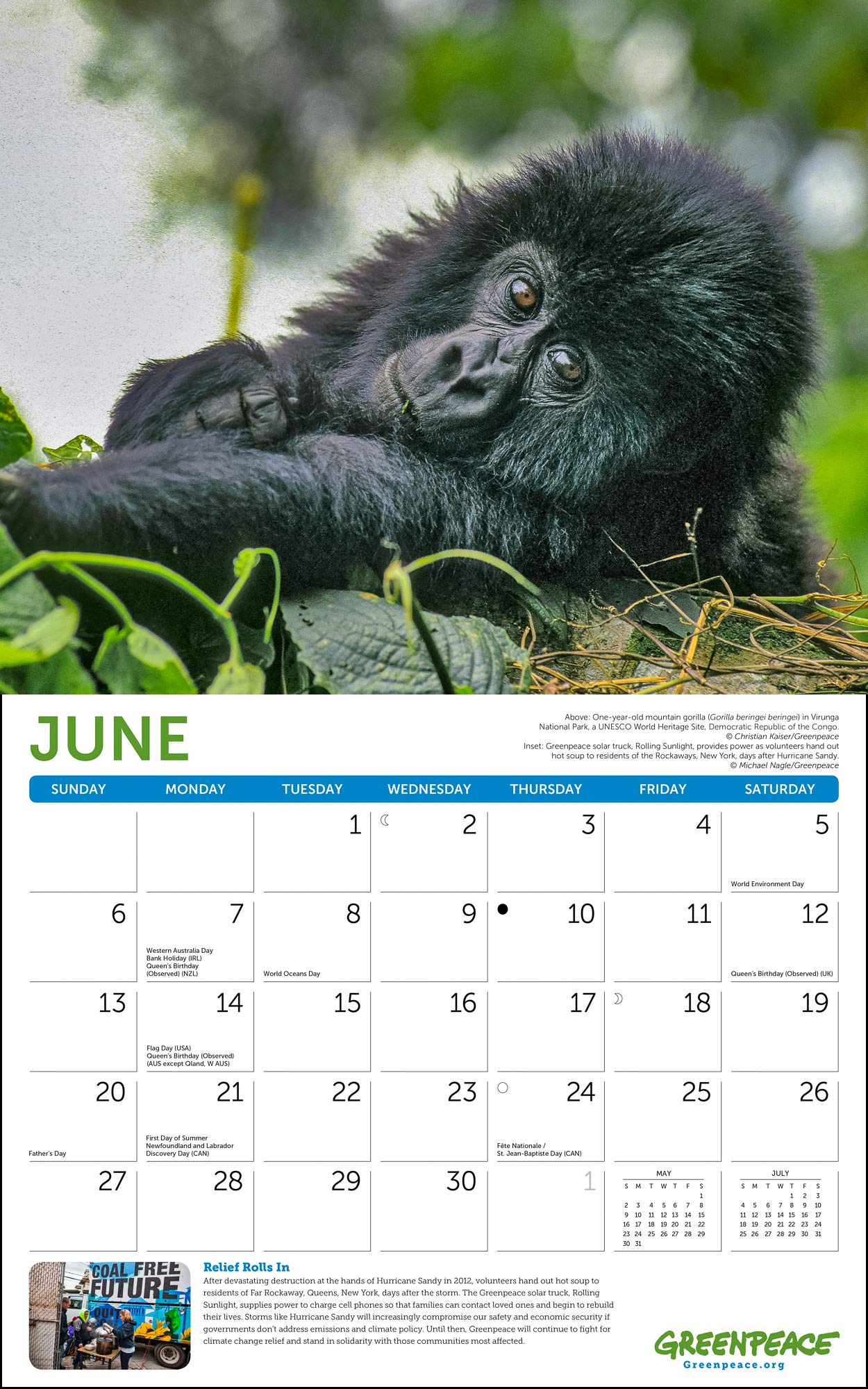 Greenpeace Wall Calendar 2021, Monthly January-December 15'' x 12"