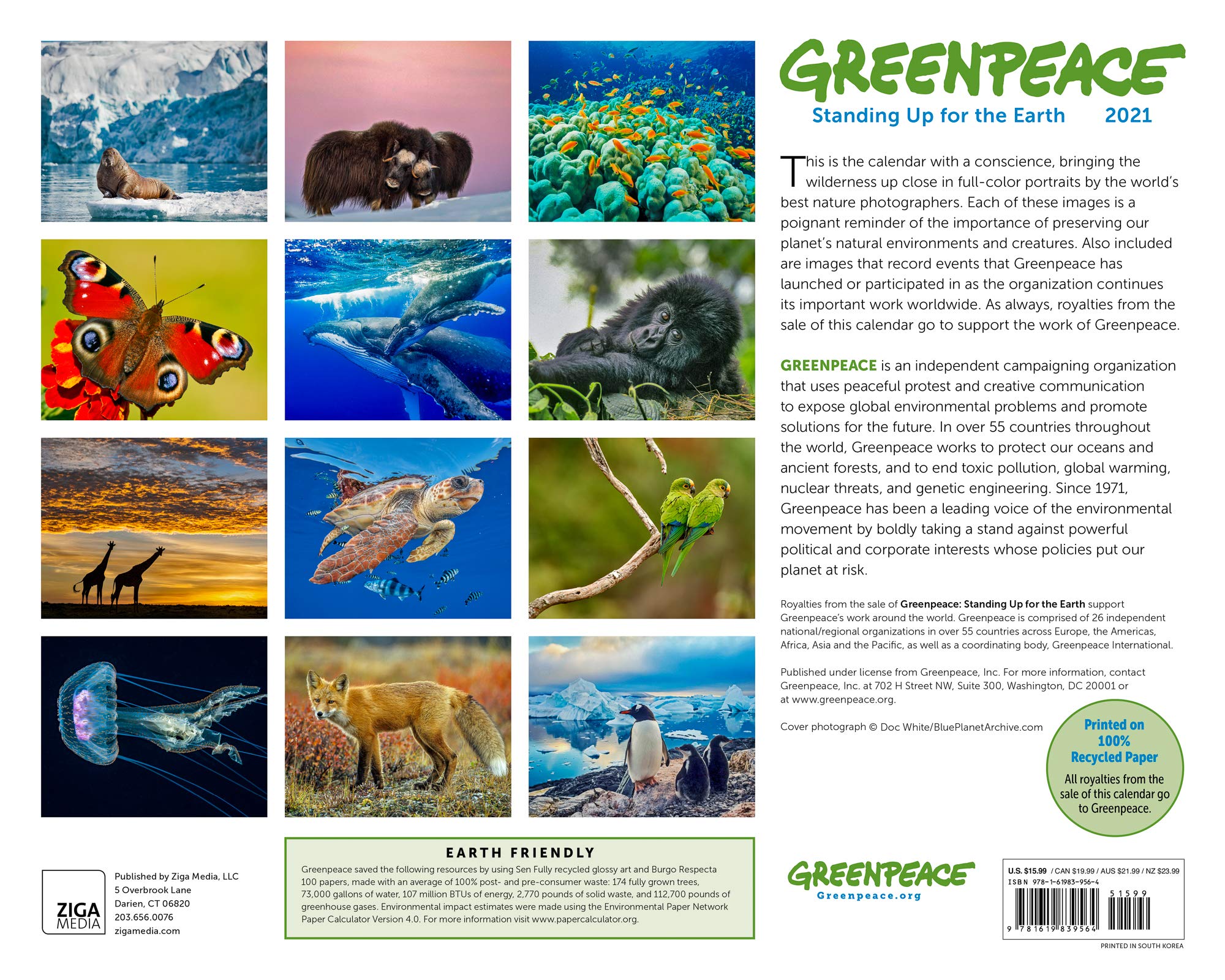 Greenpeace Wall Calendar 2021, Monthly January-December 15'' x 12"