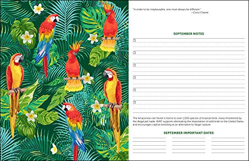 WWF Giraffes Monthly Planner 2021, 7.5" x 9.75" Spiral Bound