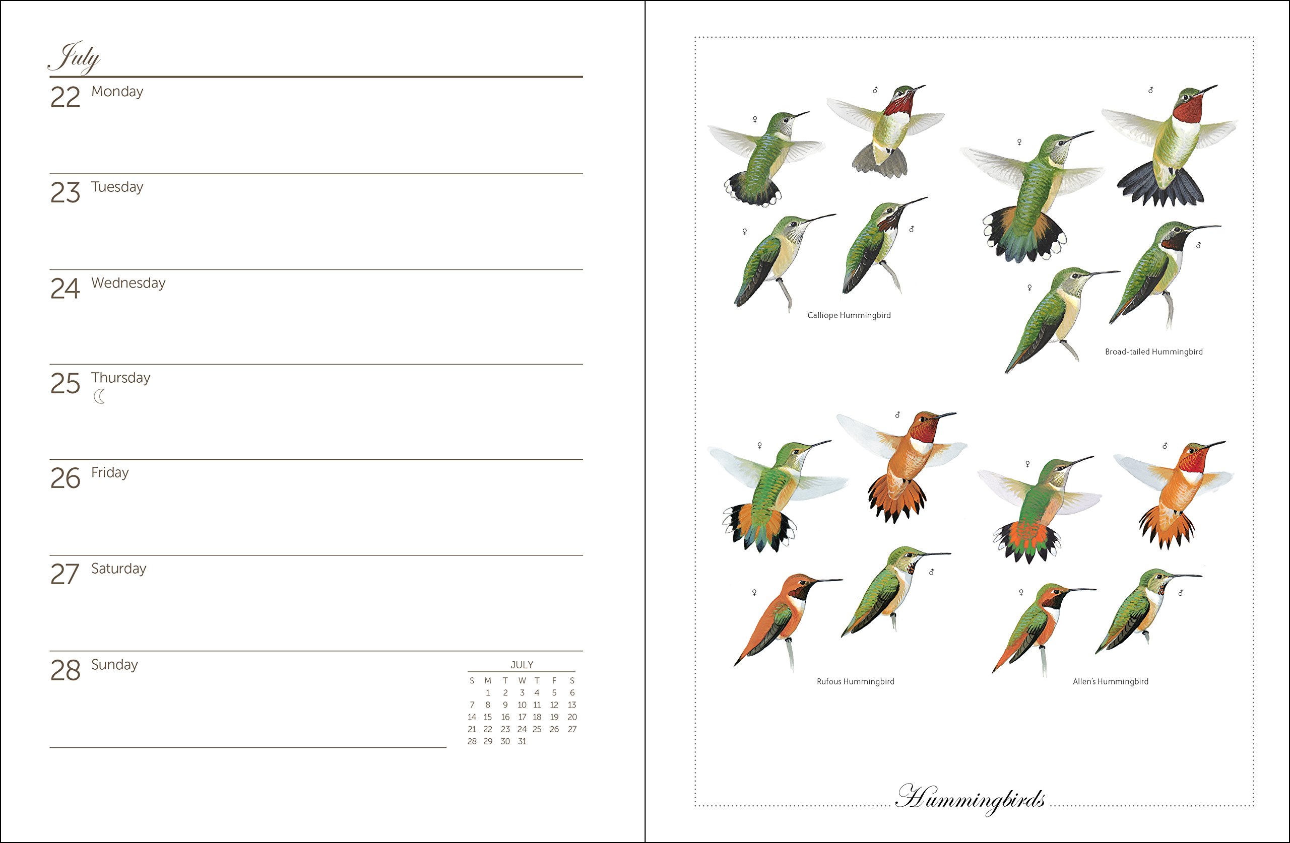 Sibley's Birds Weekly Engagement Calendar 2019 Planner 6.5" x 8.5" Spiral