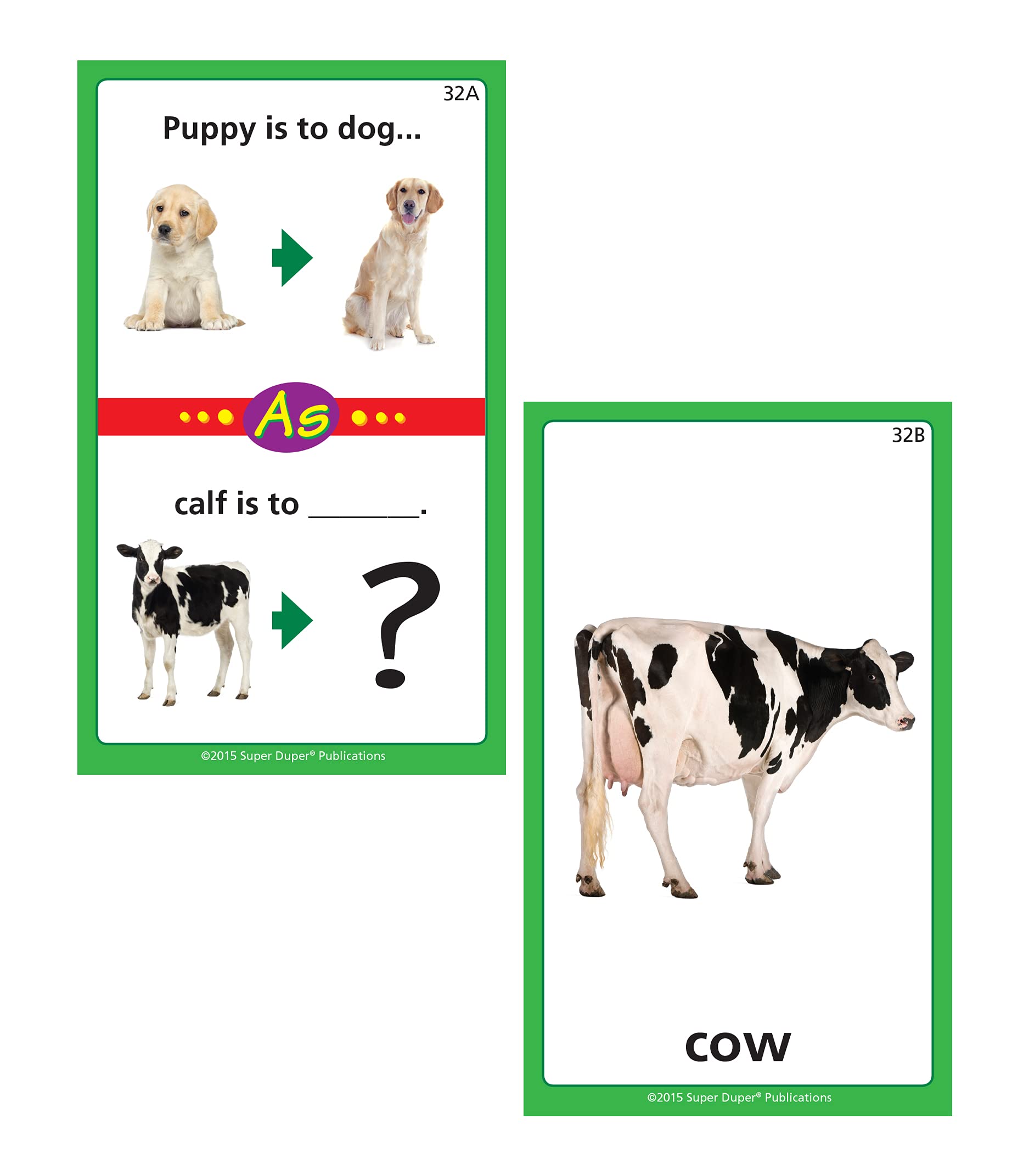 Super Duper Publications | Webber® Photo Flash Cards Analogies Early Reader | Educational Learning Resource for Children