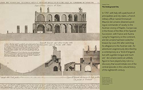 Herculaneum and the House of the Bicentenary: History and Heritage (Conservation & Cultural Heritage)