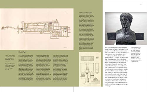 Herculaneum and the House of the Bicentenary: History and Heritage (Conservation & Cultural Heritage)