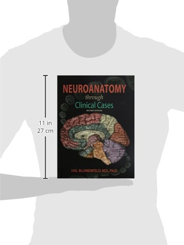 Neuroanatomy through Clinical Cases