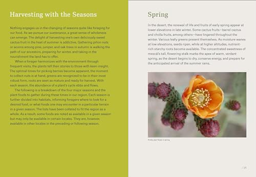 Southwest Foraging: 117 Wild and Flavorful Edibles from Barrel Cactus to Wild Oregano (Regional Foraging Series)