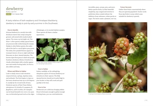 Southwest Foraging: 117 Wild and Flavorful Edibles from Barrel Cactus to Wild Oregano (Regional Foraging Series)