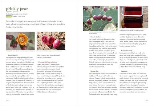Southwest Foraging: 117 Wild and Flavorful Edibles from Barrel Cactus to Wild Oregano (Regional Foraging Series)