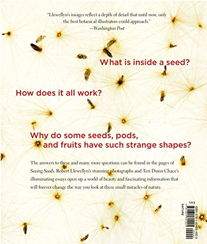 Seeing Seeds: A Journey into the World of Seedheads, Pods, and Fruit (Seeing Series)