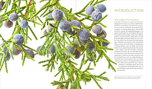 Seeing Seeds: A Journey into the World of Seedheads, Pods, and Fruit (Seeing Series)