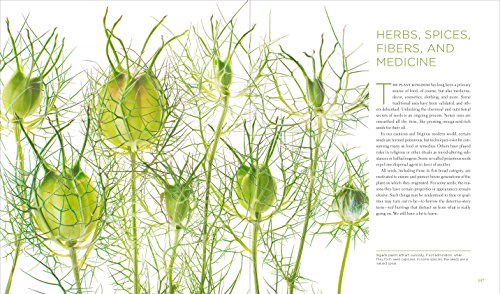 Seeing Seeds: A Journey into the World of Seedheads, Pods, and Fruit (Seeing Series)