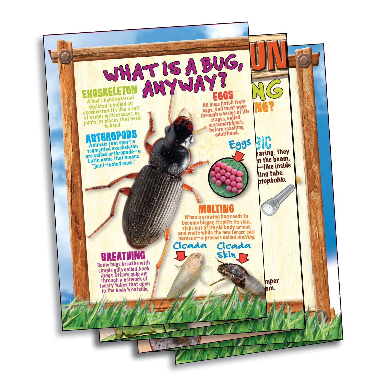 SmartLab Toys Bug Playground Insect Inspector Lab