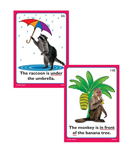 Super Duper Publications | Pigs & Pals Preposition Fun Deck Flash Cards | Educational Learning Resource for Children