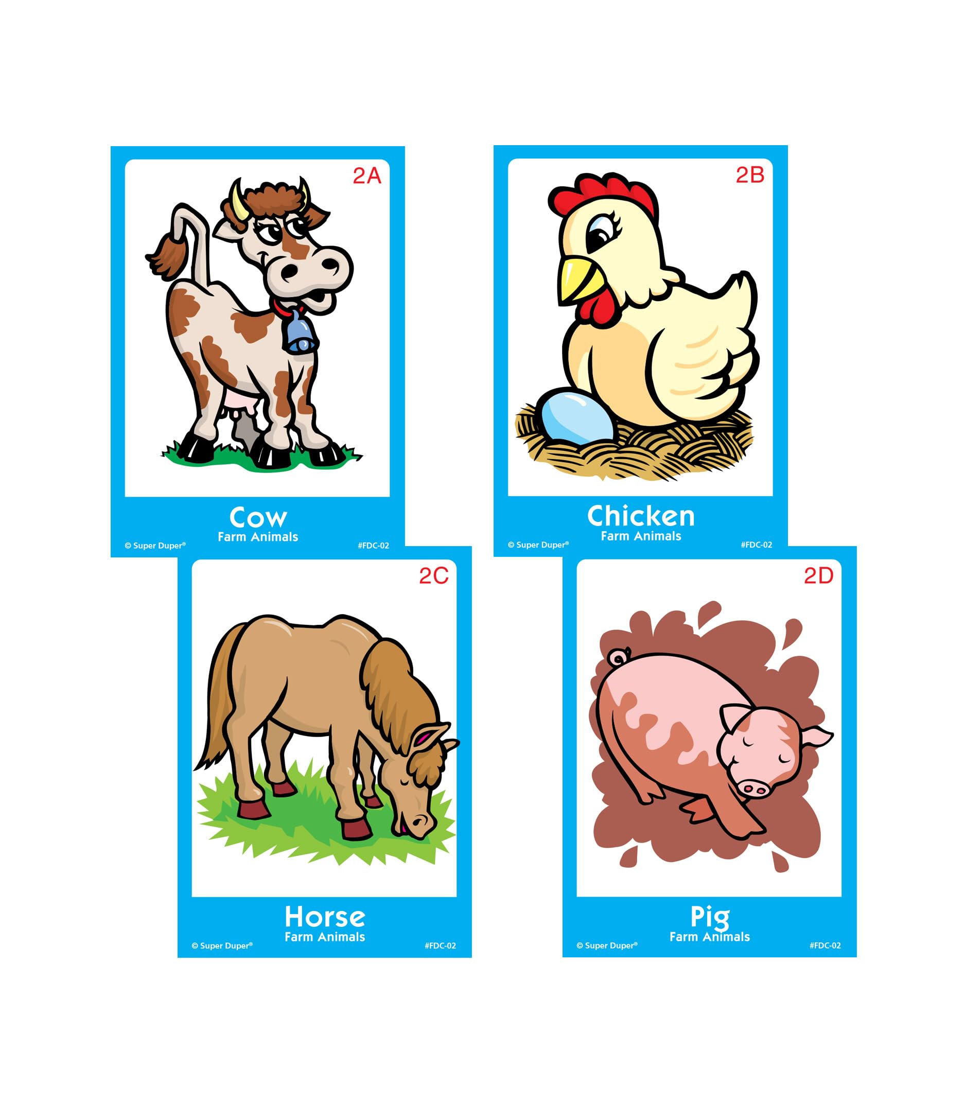 Super Duper Publications | Classifying Fun Deck Flash Cards | Educational Learning Resource for Children