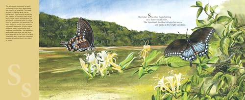 M Is For Magnolia: A Mississippi Alphabet Book (Discover America State by State)