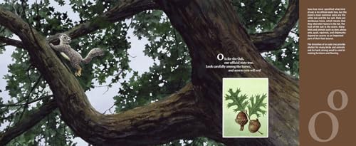 H is for Hawkeye: An Iowa Alphabet (Discover America State by State)