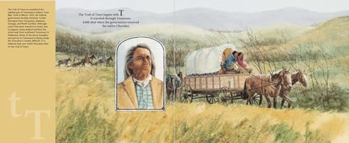 V is for Volunteer: A Tennessee Alphabet (Discover America State by State)