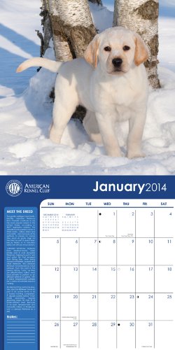 2014 Labrador Retrievers - American Kennel Club Wall
