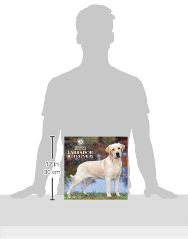 2014 Labrador Retrievers - American Kennel Club Wall