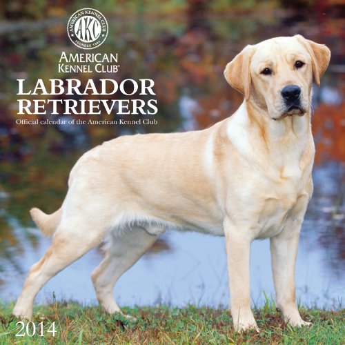 2014 Labrador Retrievers - American Kennel Club Wall