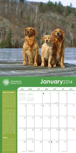 2014 Golden Retrievers - American Kennel Club Wall
